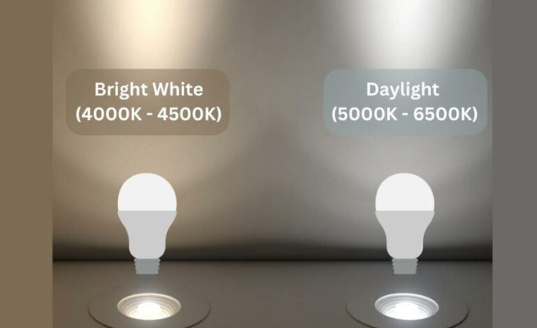 Difference Between Bright White And Daylight: Top Best Guide